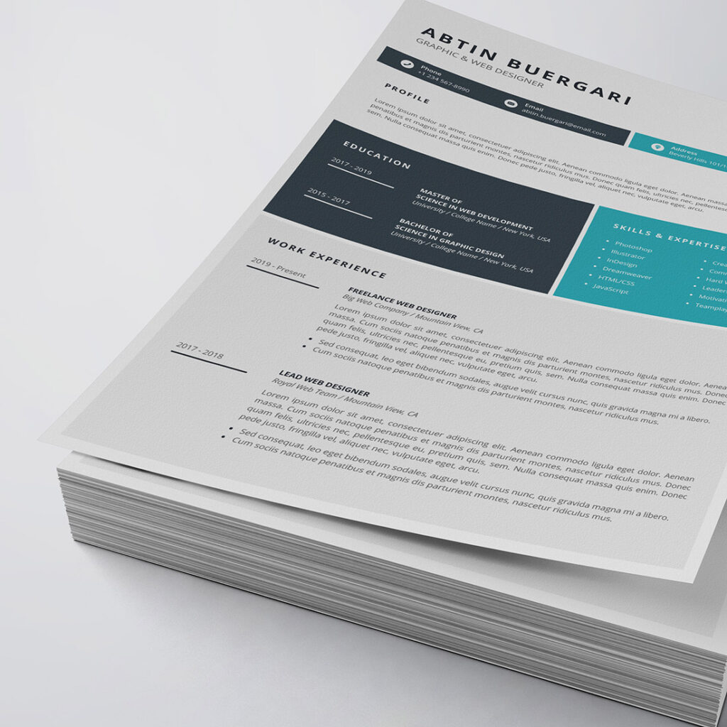 Clean Resume/CV Template Design Idea - MasterBundles