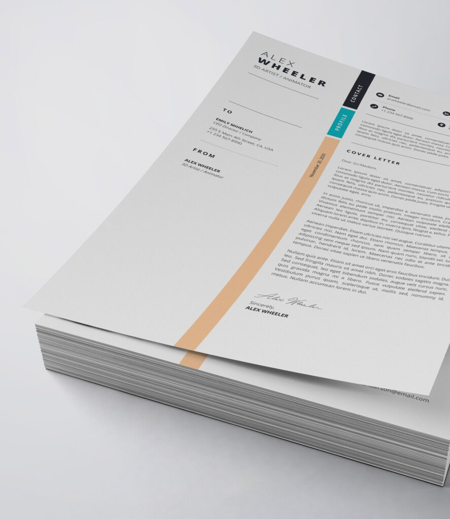 Clean Resume/CV Template - MasterBundles