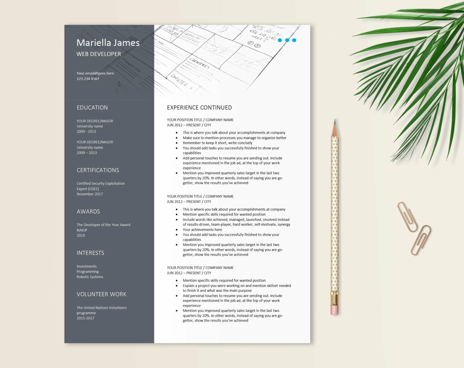 Developer Resume Template | Tech CV – MasterBundles