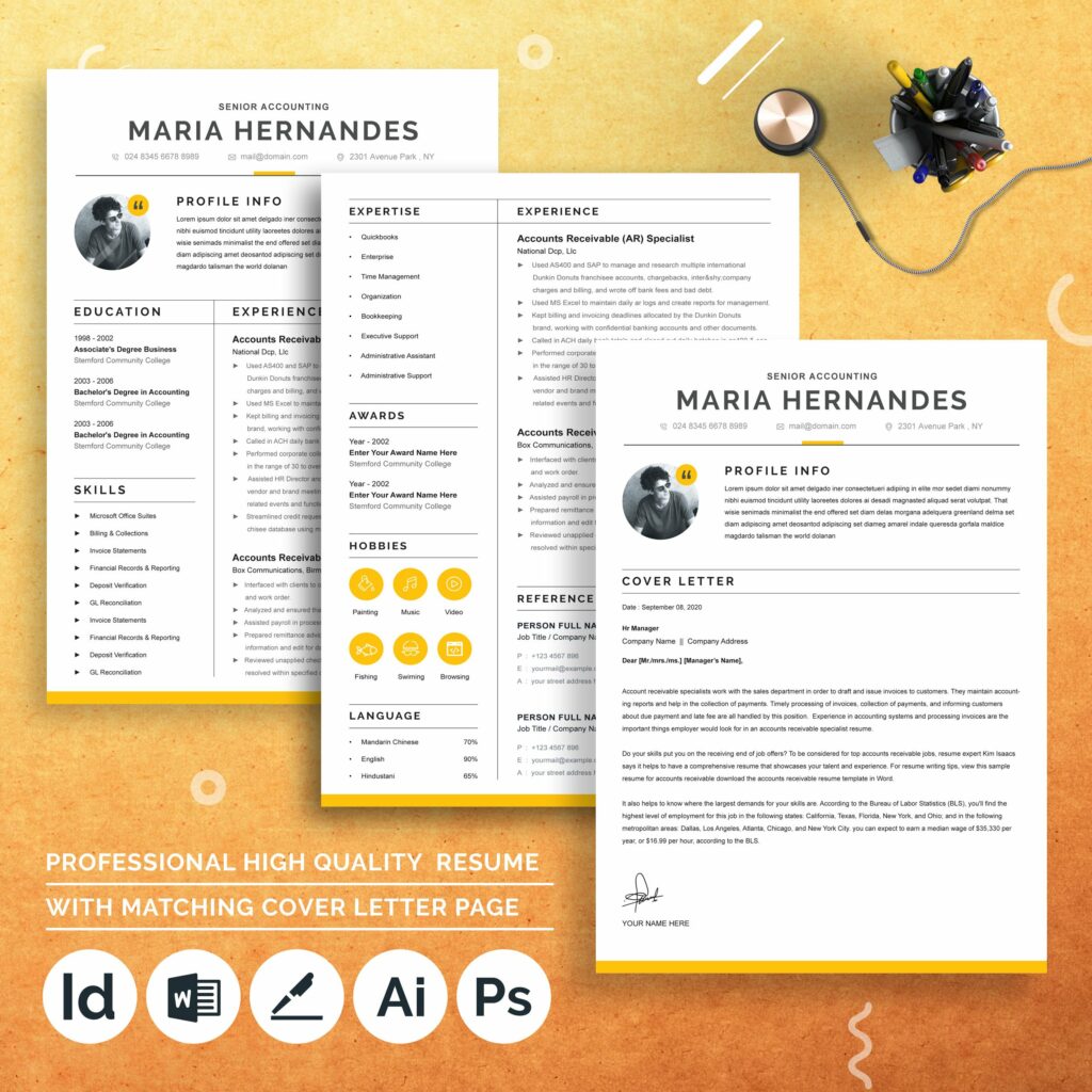 Professional Accountant CV Template – MasterBundles