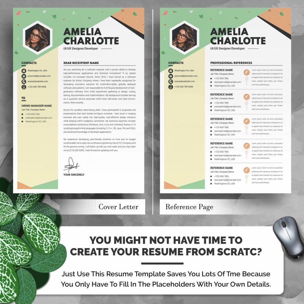 Professional Software Developer CV – MasterBundles