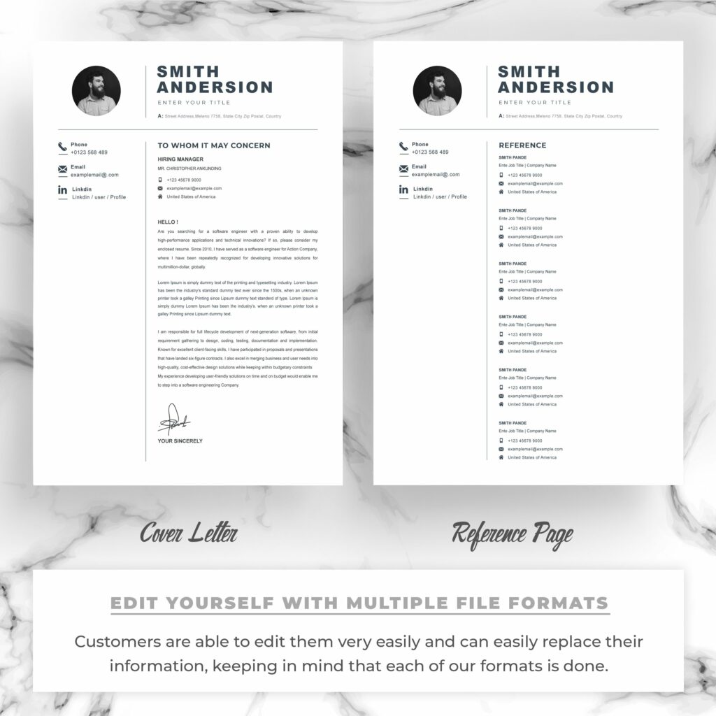 Professional Clean One Page Resume – MasterBundles