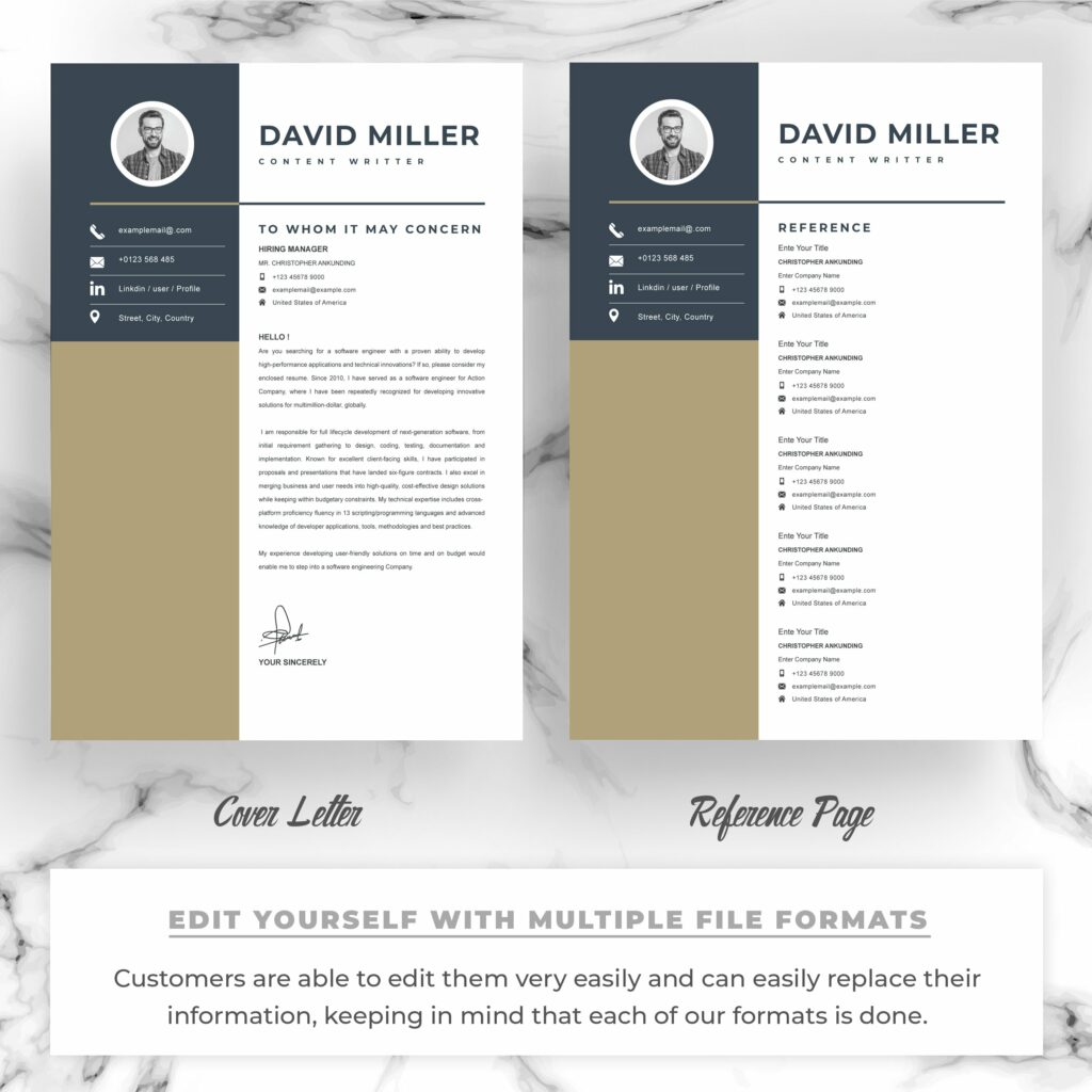 Content Writer Resume / CV Format – MasterBundles