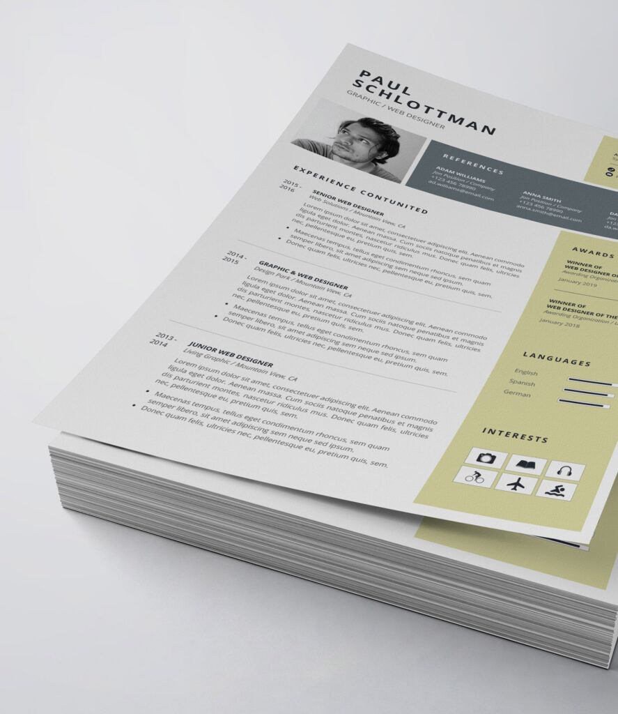 Professional Resume/CV Sample - MasterBundles