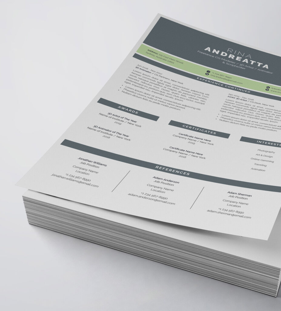 Professional Resume/CV Template Idea - MasterBundles