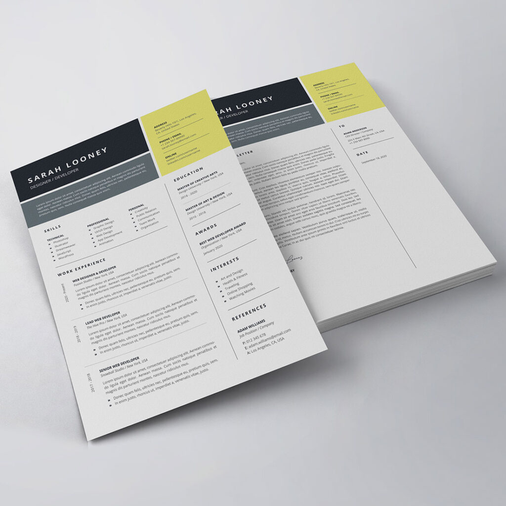 Clean Resume/CV Template - MasterBundles