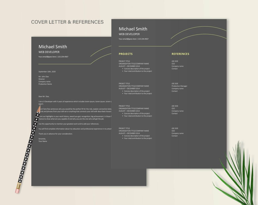Developer Resume Template Word – MasterBundles