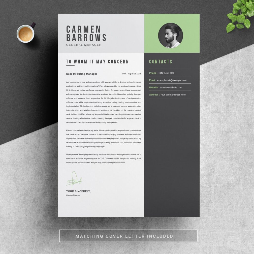 Professional Resume / CV Template – MasterBundles