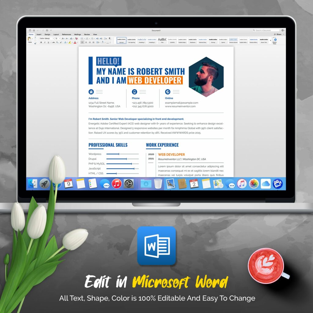 Programmer Resume Template for Word – MasterBundles