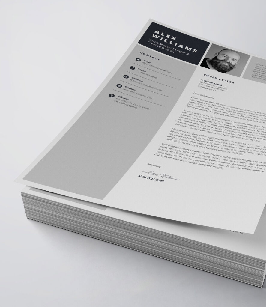 Clean Resume/CV Layout - MasterBundles