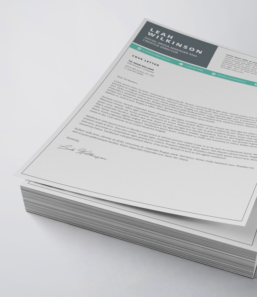 Professional Resume/CV Template - MasterBundles