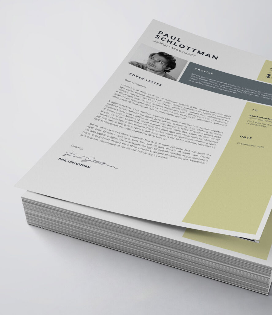 Professional Resume/CV Sample - MasterBundles Professional Resume/CV Sample - MasterBundles