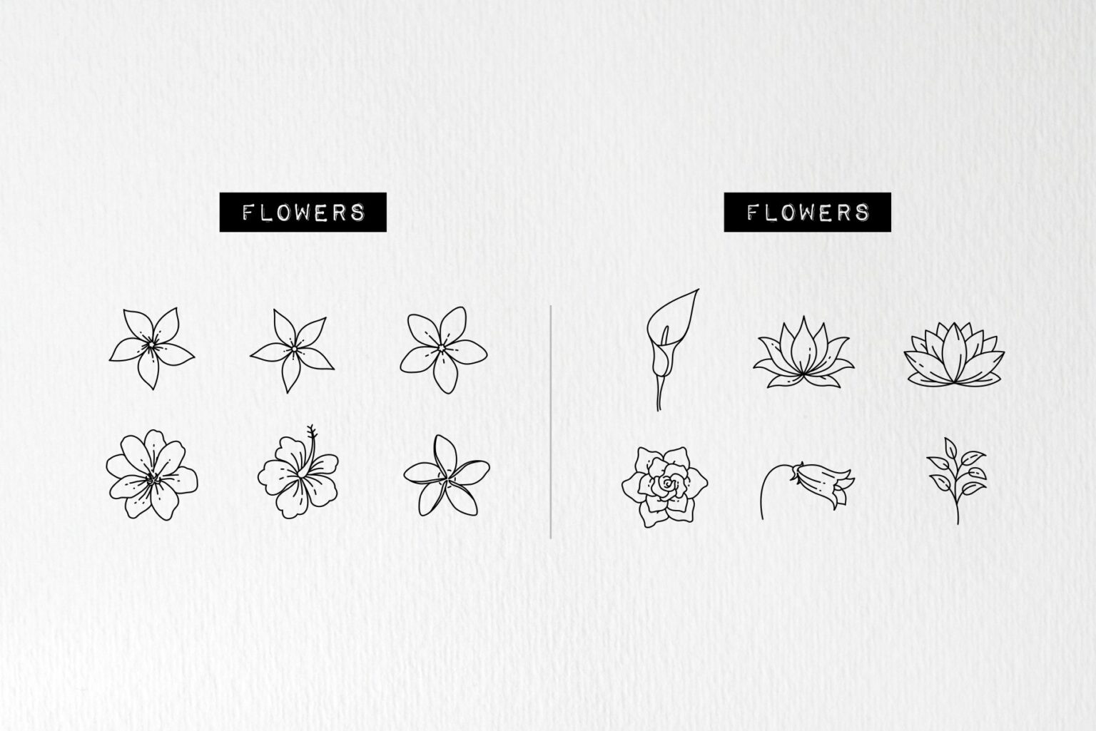 60 Plant & Floral Icons - Flower – MasterBundles