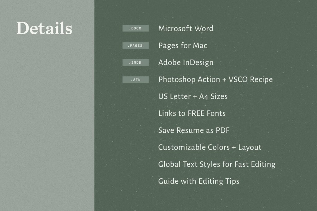 Resume with Picture / CV with Photo – MasterBundles
