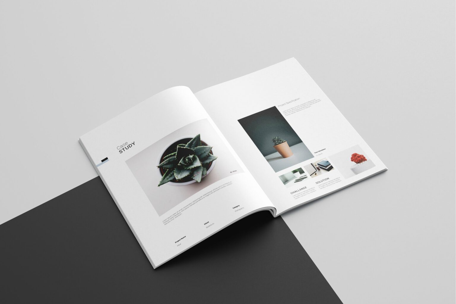 Aesthetic Proposal Template – MasterBundles