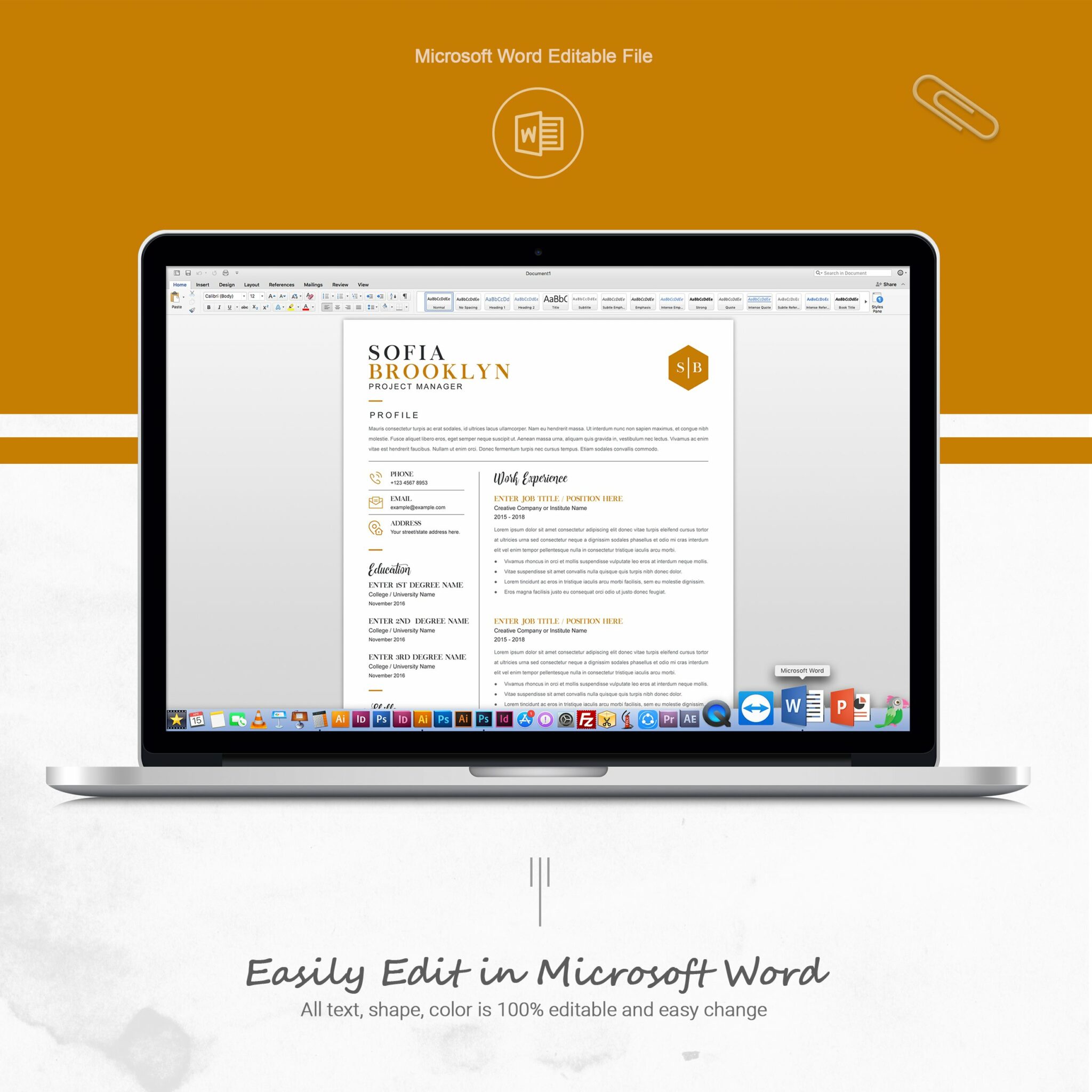 Resume / CV Template Word Manager – MasterBundles