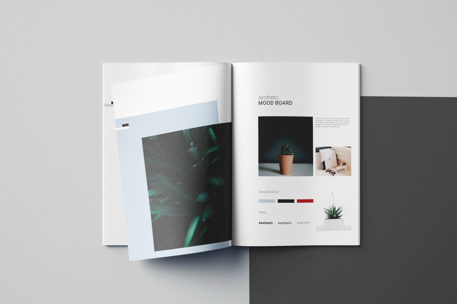 Aesthetic Proposal Template – MasterBundles