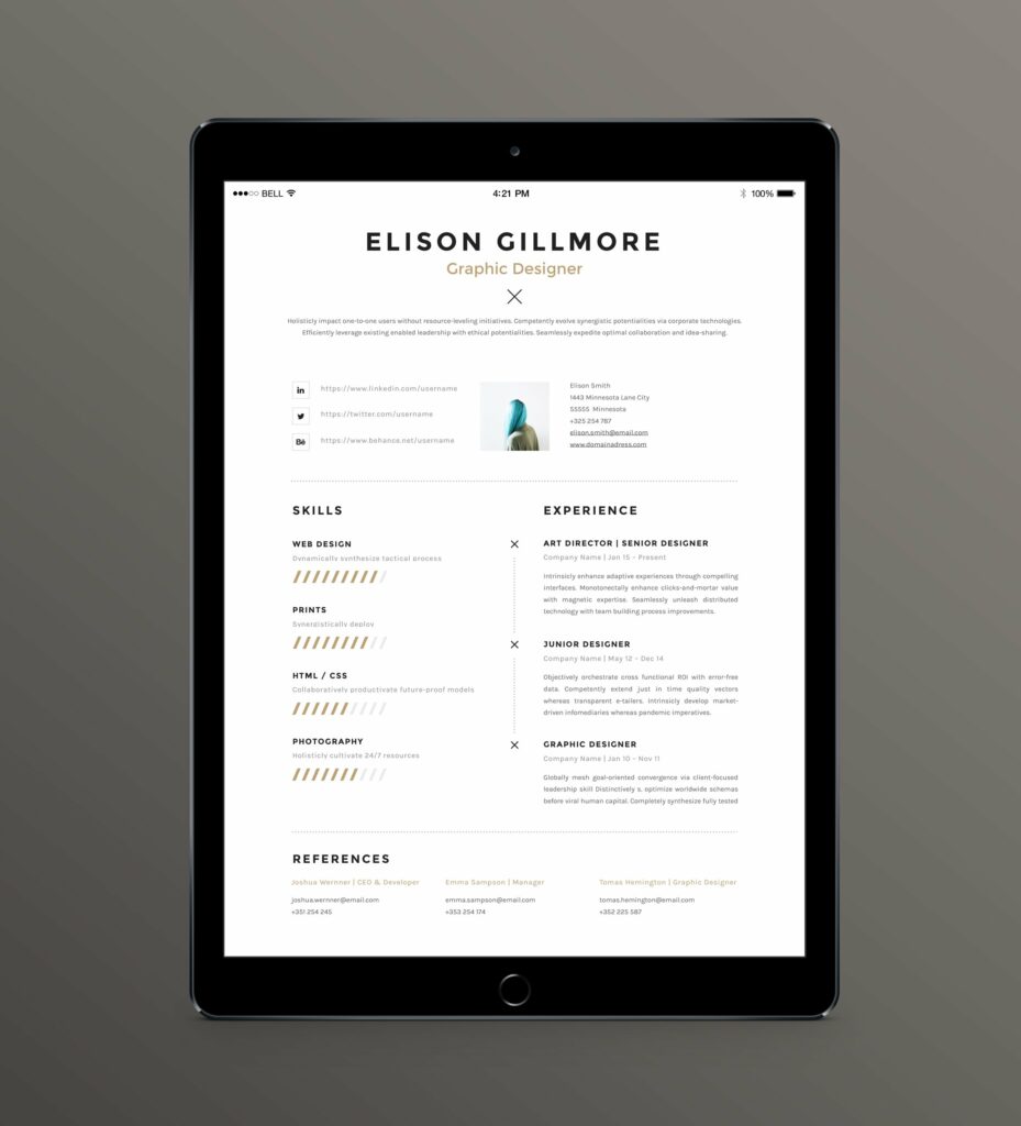 Unique Resume CV for Pages and Word – MasterBundles