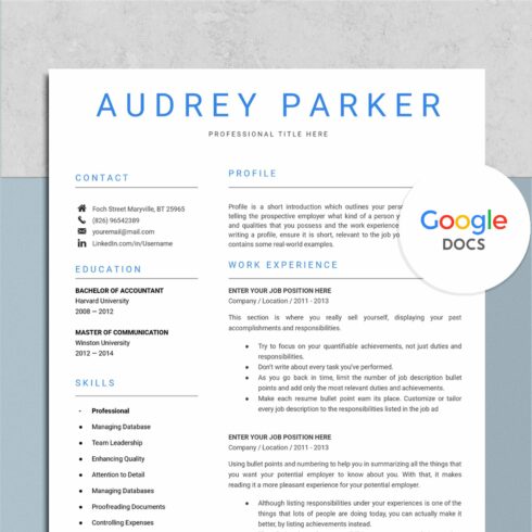Professional Google Docs Resume – MasterBundles
