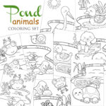 Pond Animals Frog Duck Turtle Beaver Raven Nature Coloring Pages for ...