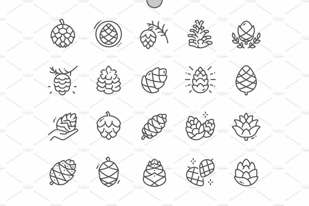 Pine cone Line Icons – MasterBundles