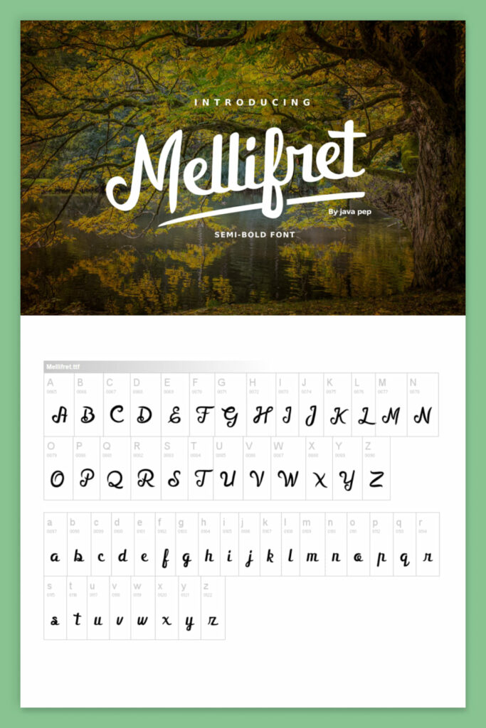 30+ Awesome Fonts for Logos and Websites - MasterBundles