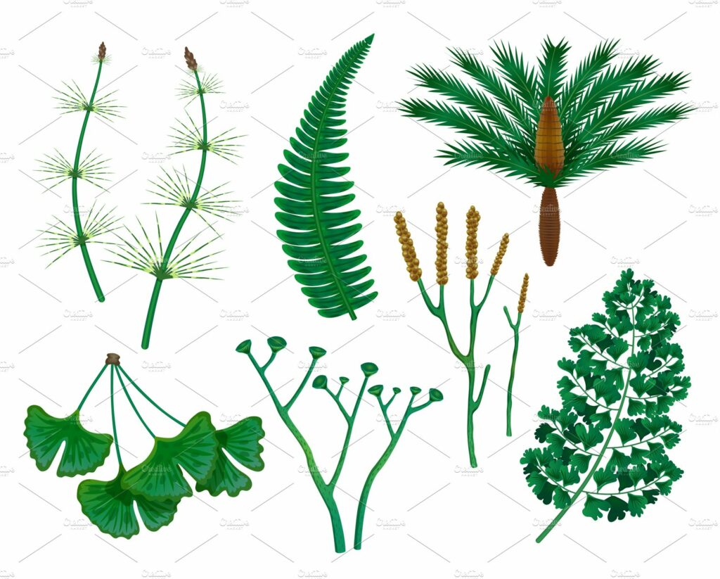 Prehistoric plants set – MasterBundles