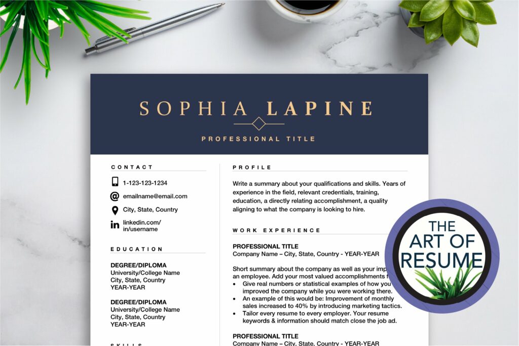 Executive Resume CV Template Bundle – MasterBundles