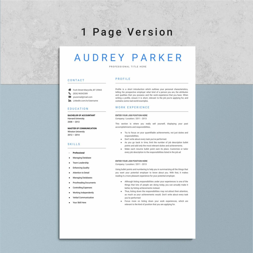 Professional Google Docs Resume – MasterBundles