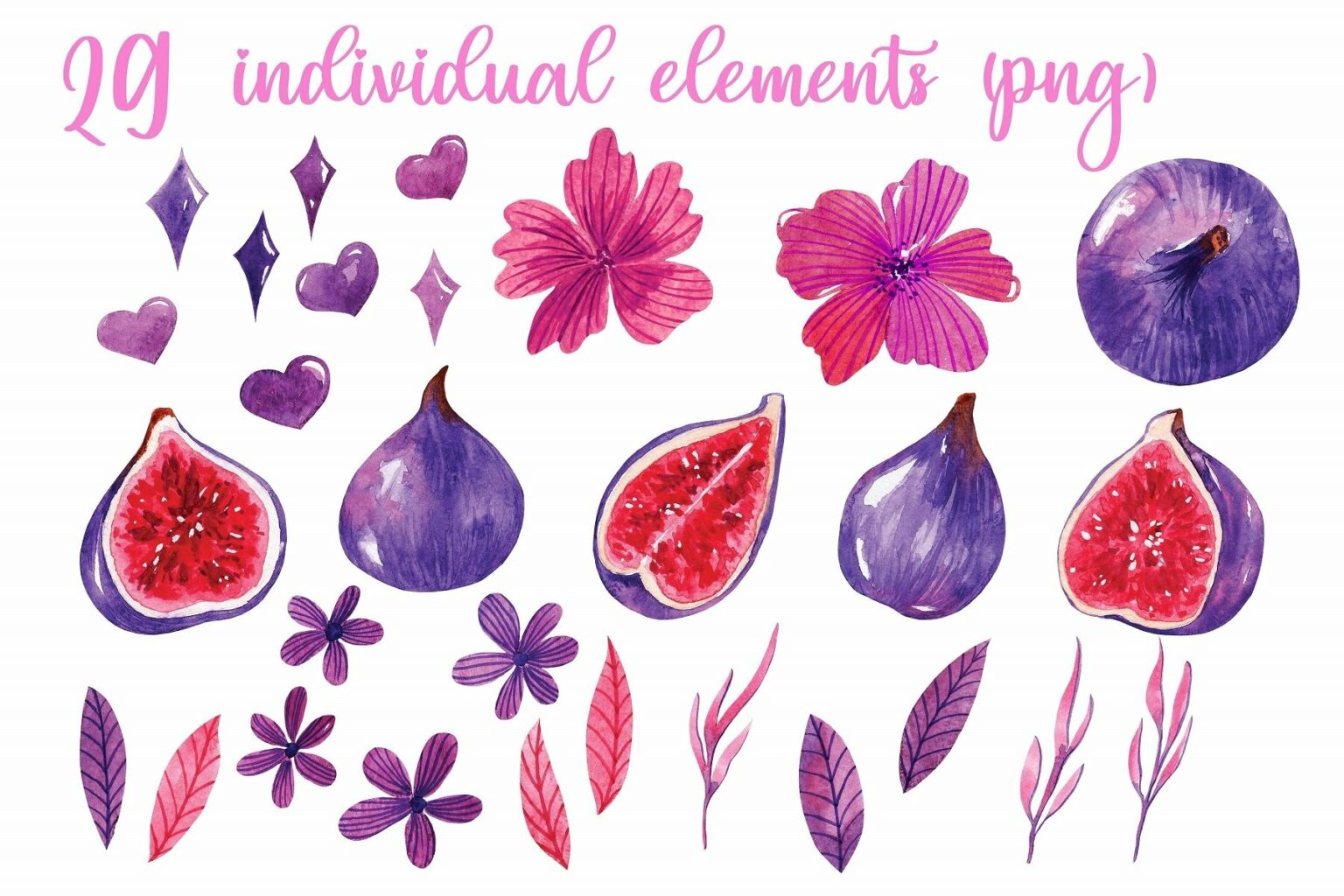 Watercolor Fig Fruit Pattern and Clipart - MasterBundles