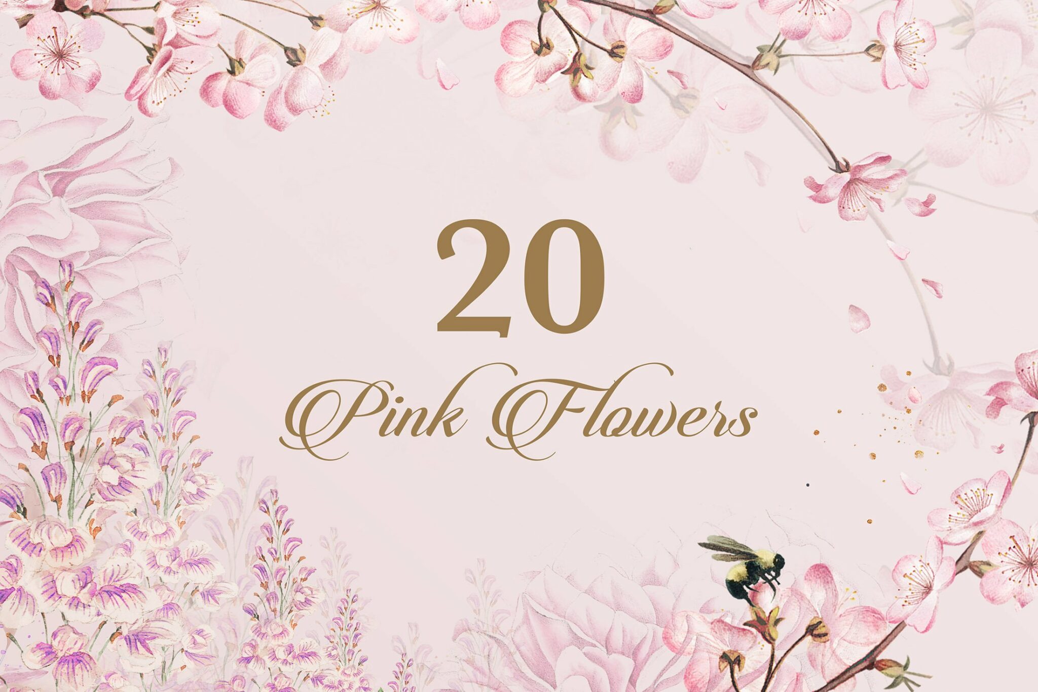 Linnea (Pink Wedding Card Creator) – MasterBundles