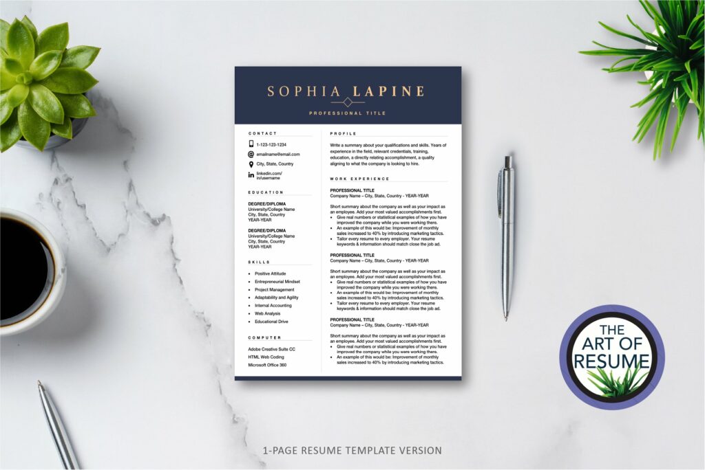 Executive Resume CV Template Bundle – MasterBundles