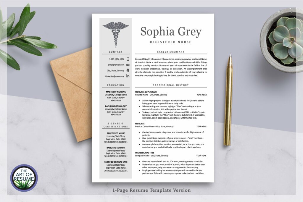 Nursing Medical Resume CV Template – MasterBundles