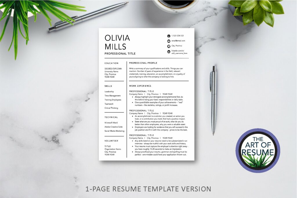 Clean Resume CV Template Bundle – MasterBundles