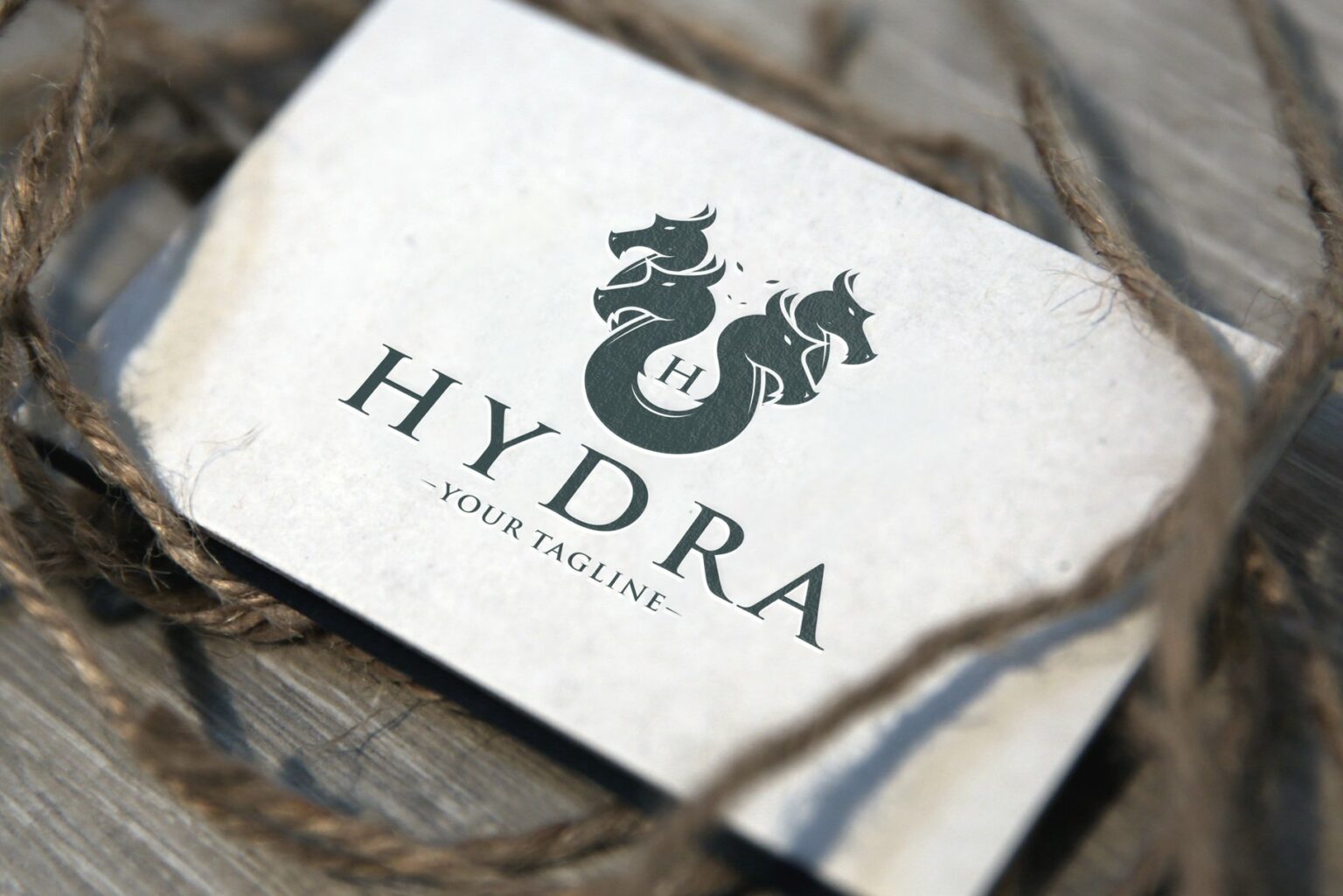 Hydra Heads Vintage Logo Template – MasterBundles