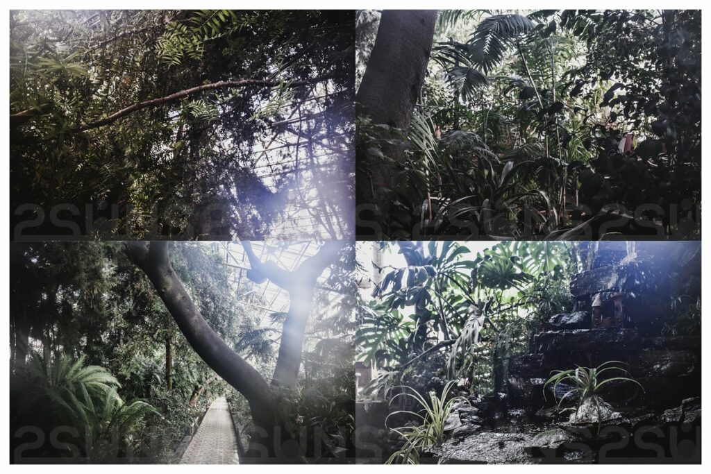 Tropical Photoshop textures – MasterBundles