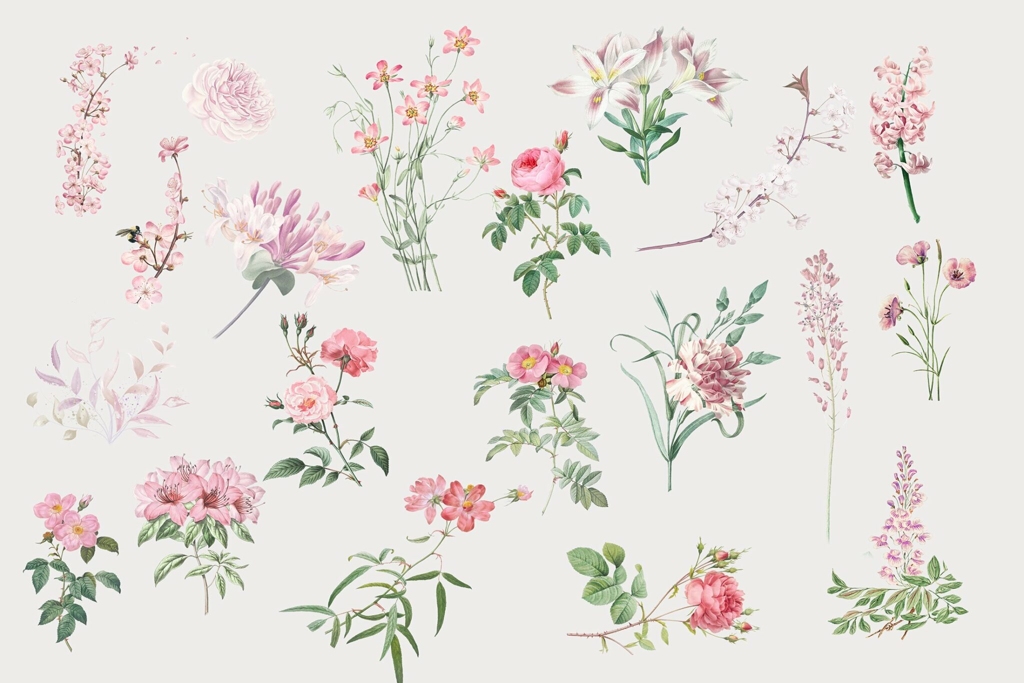 Linnea (Pink Wedding Card Creator) – MasterBundles