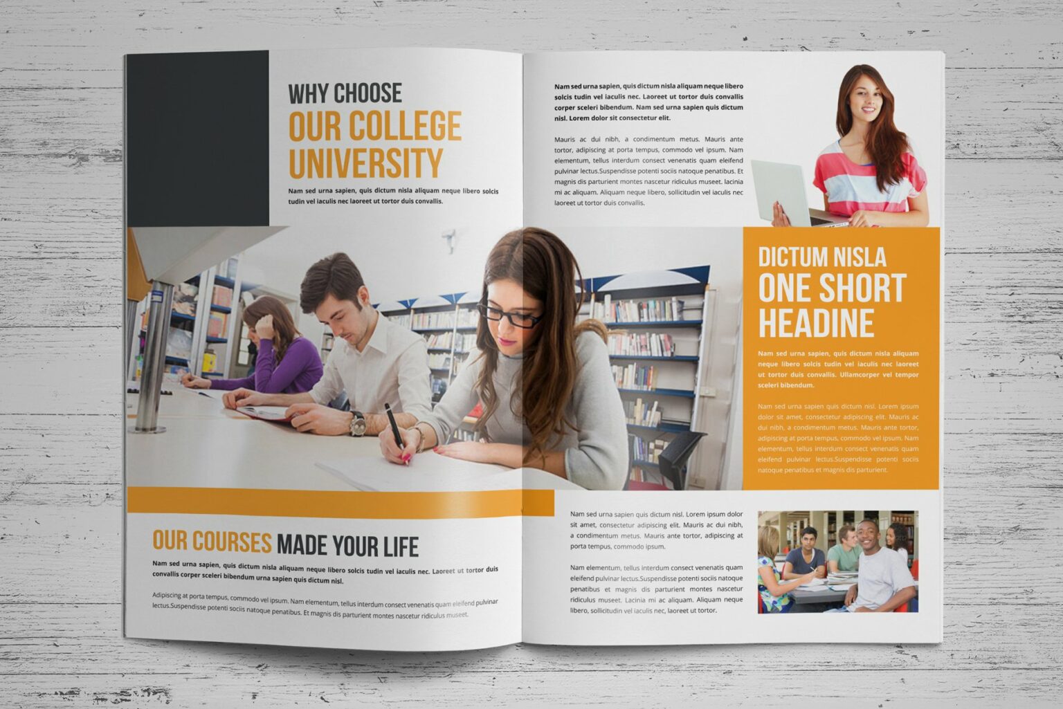 Education Prospectus Brochure v1 – MasterBundles