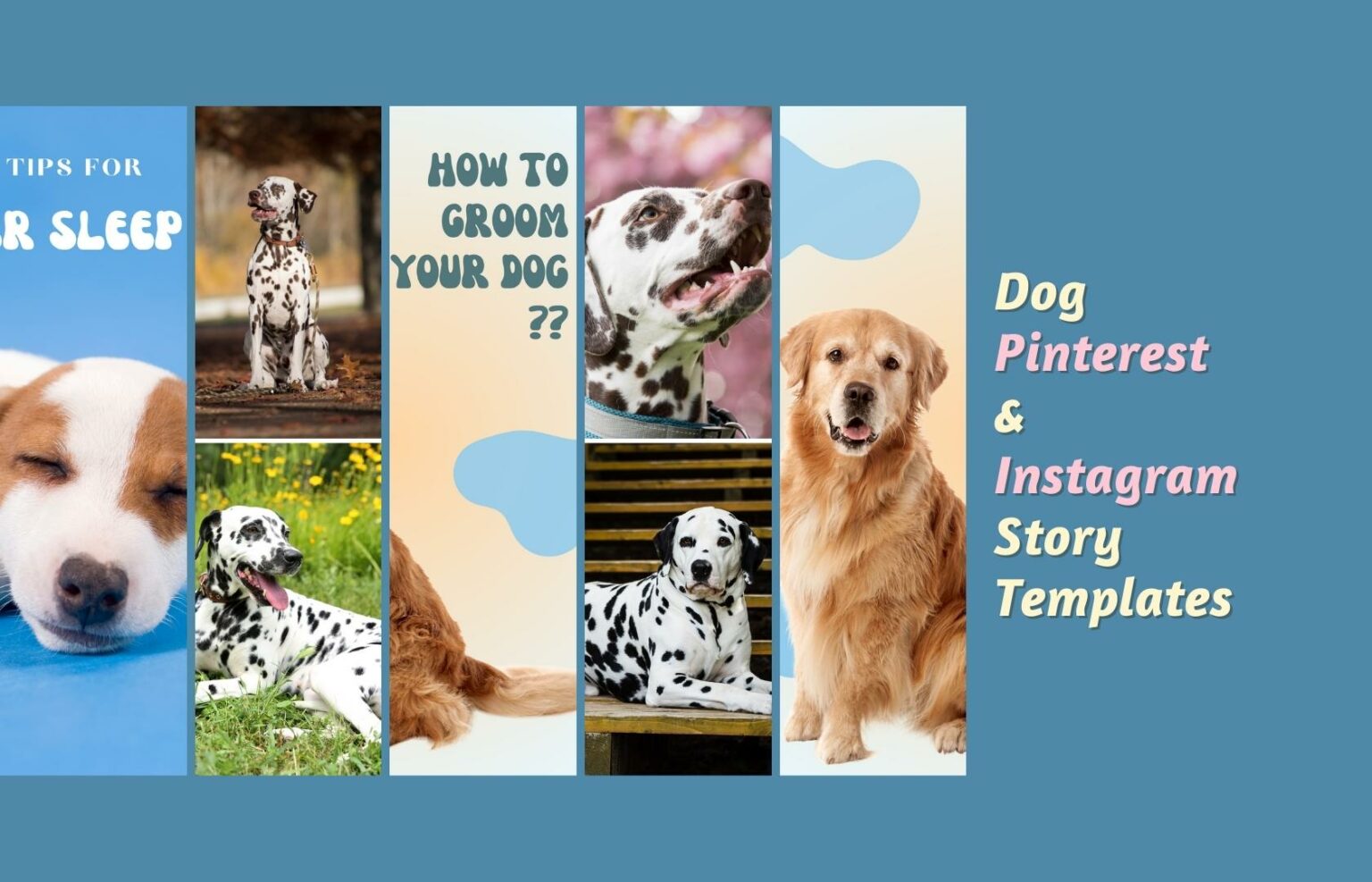 35 Cute Dog Pinterest Templates - Mega Bundle - MasterBundles