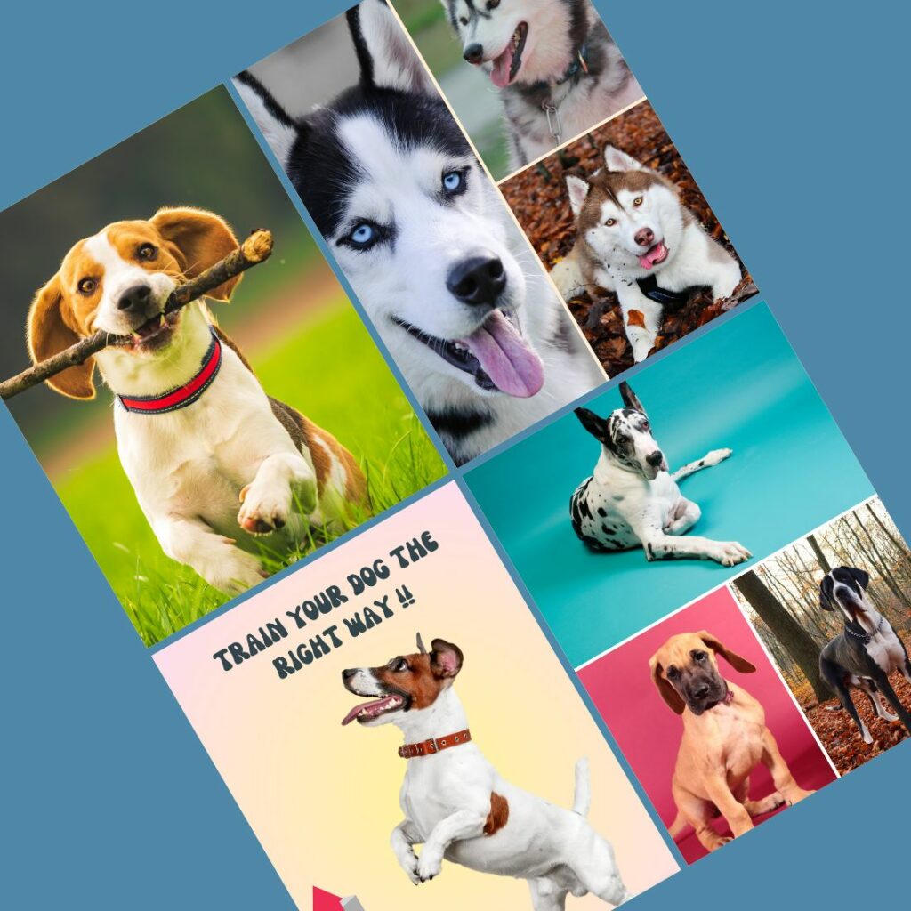 35 Cute Dog Pinterest Templates - Mega Bundle - MasterBundles