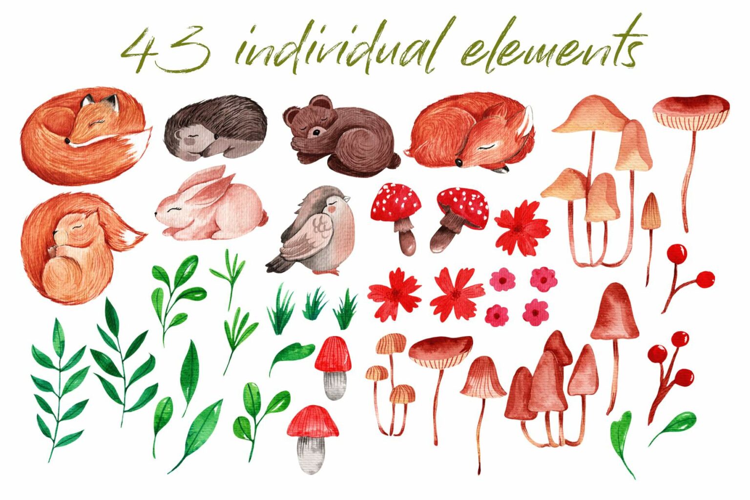 Sleepy Forest woodland animals Watercolor Clipart Set - MasterBundles