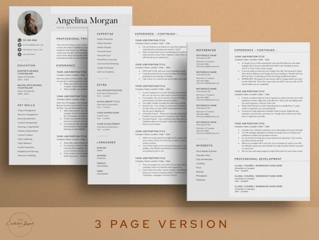 Project Manager Assistant Resume/CV - The Angel – MasterBundles