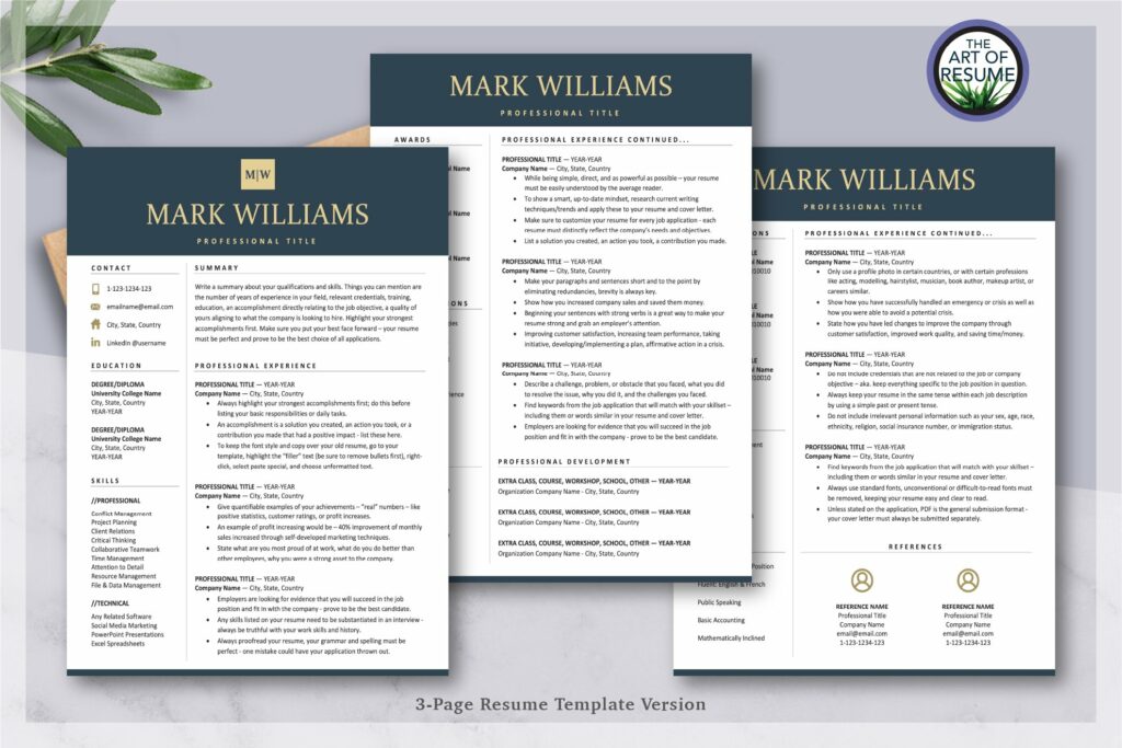 Executive Resume Template Design – MasterBundles
