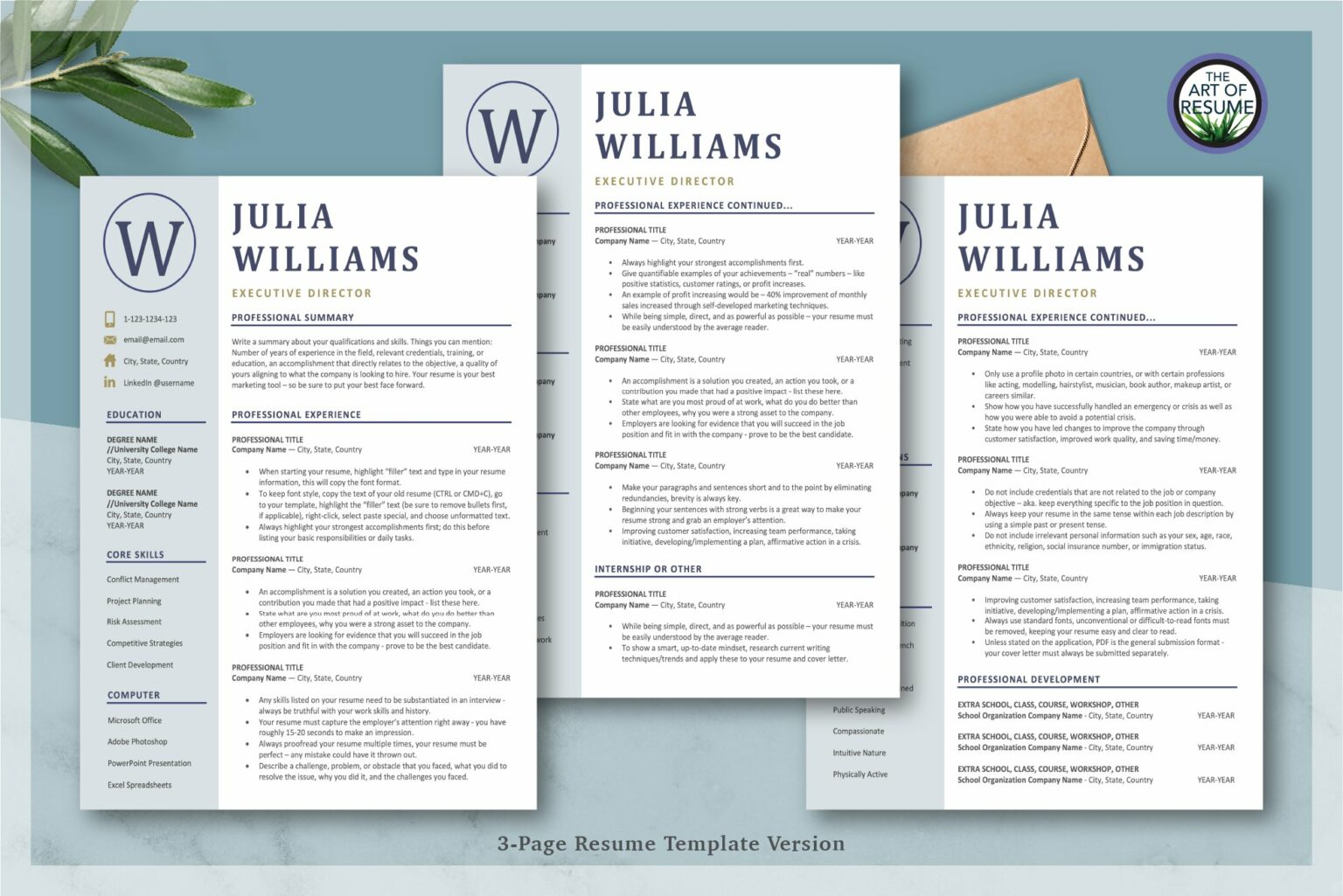 Executive Resume CV Template – MasterBundles