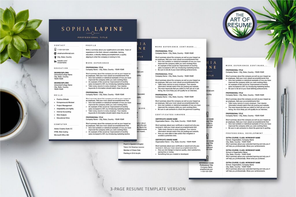 Executive Resume CV Template Bundle – MasterBundles