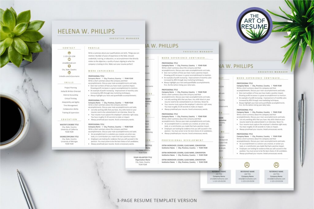 Resume CV Template Word & Mac Pages – MasterBundles