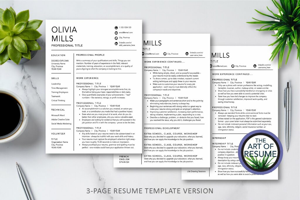 Clean Resume CV Template Bundle – MasterBundles