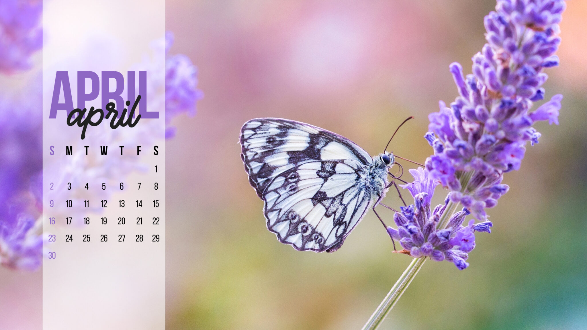 Free Purple April Calendar – MasterBundles