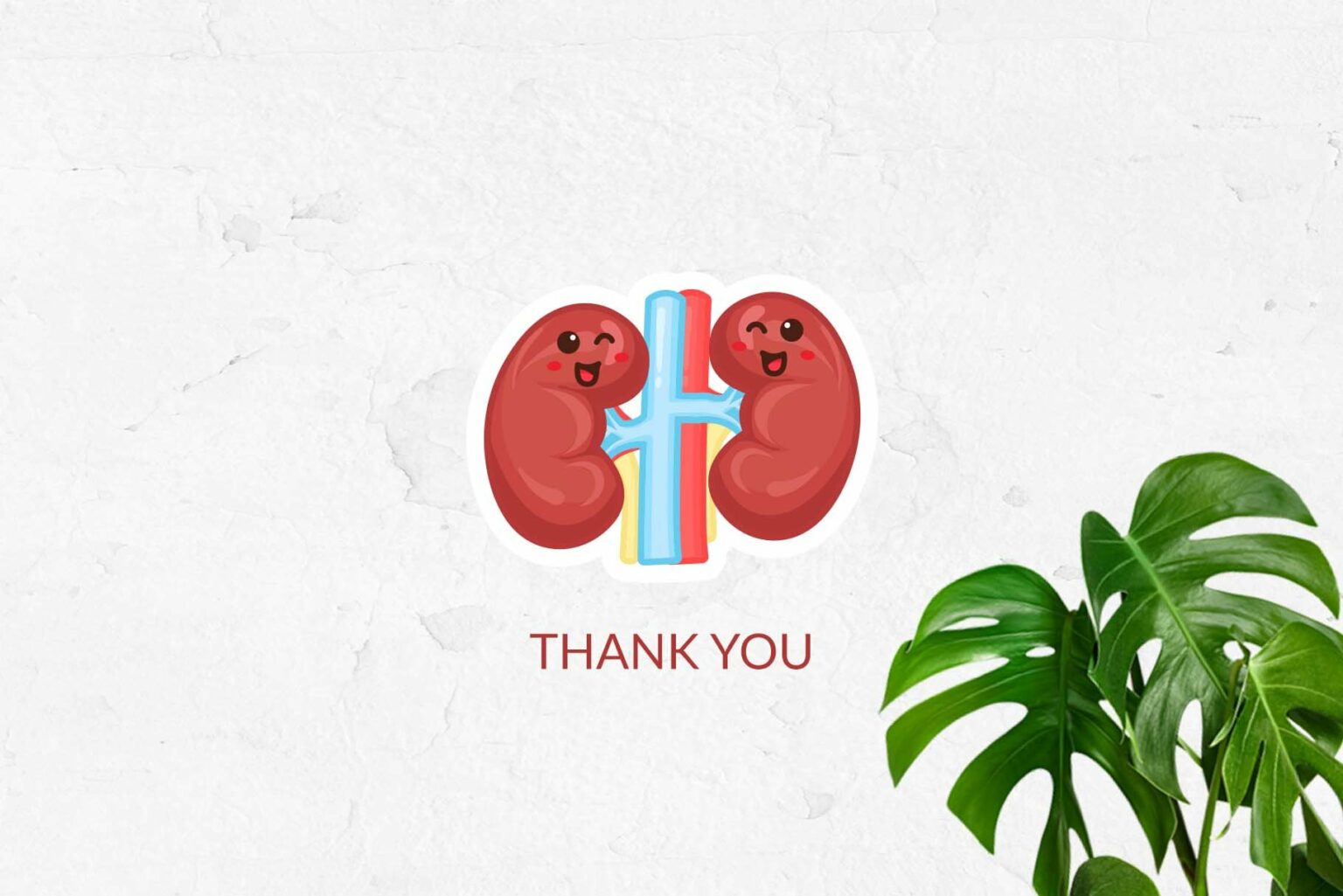 Human body anatomy vectors – MasterBundles