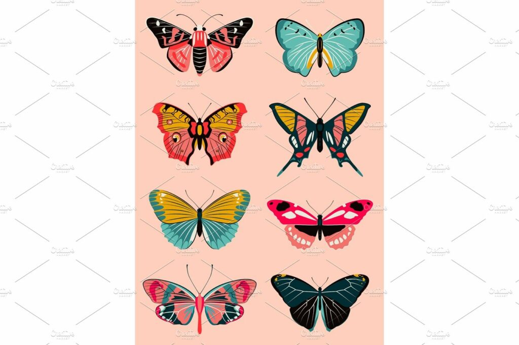 Realistic butterfly and moth collection – MasterBundles